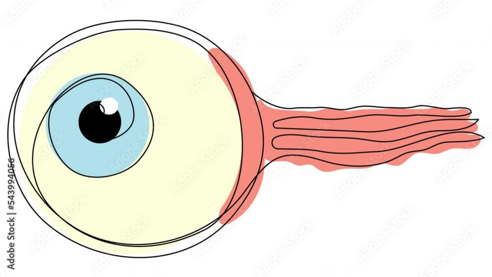 Self-drawing eyeball in one line with a colored silhouette on a white ...