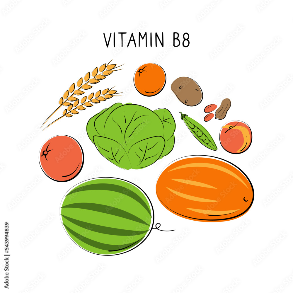 Vitamin B8 Inositol. Groups of healthy products containing vitamins ...