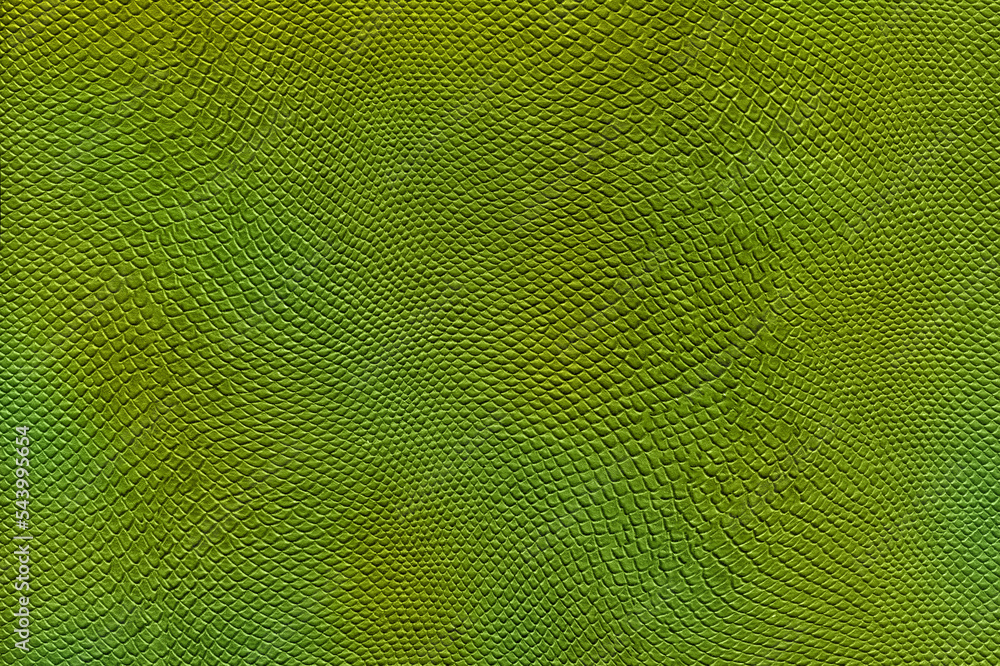 Green reptile texture in high quality. Stock photo of animal camouflage ...