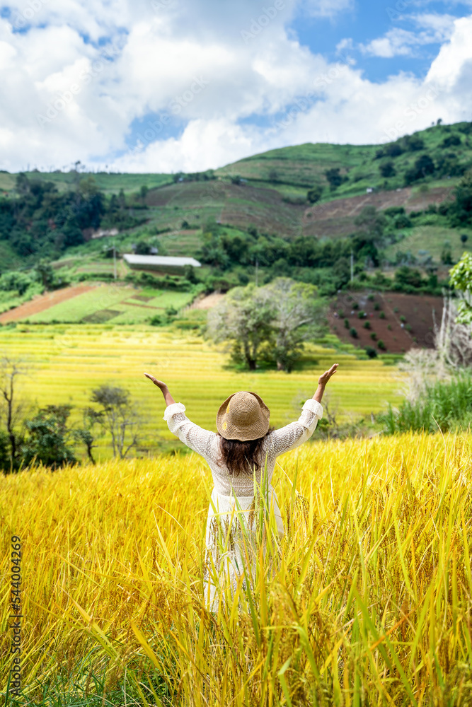 Beautiful girl outdoors raising hands in a golden field. Girl enjoying ...