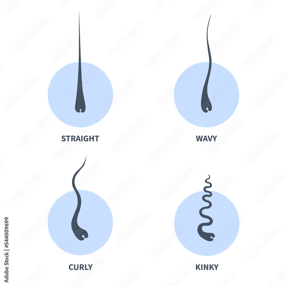 Straight, wavy, curly, kinky hair types classification system set ...