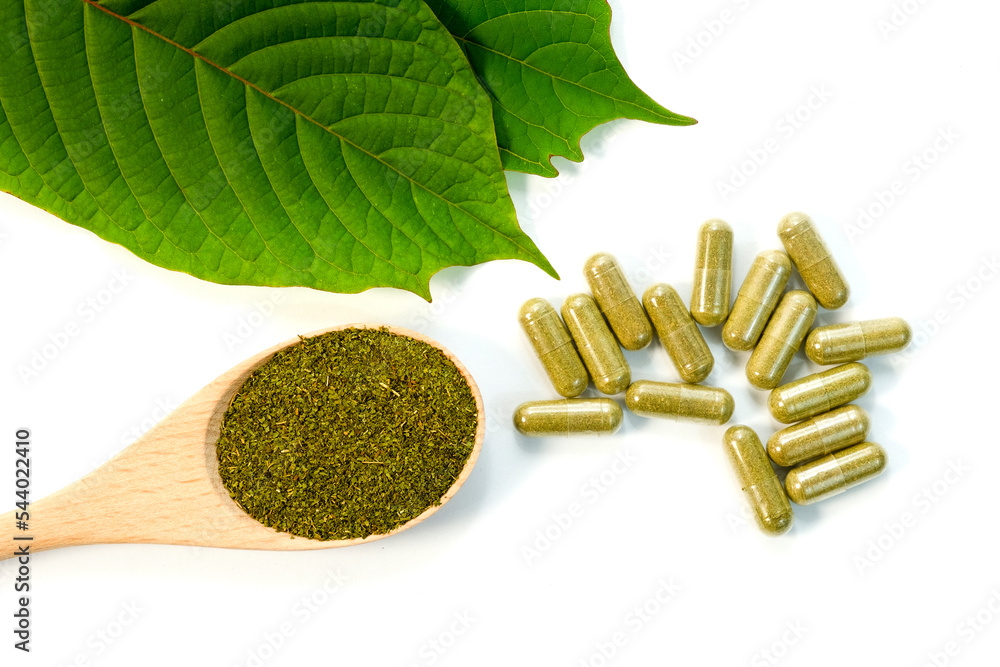 Mitragyna speciosa (kratom) leaves with medicinal product in capsules and the powder in the ...