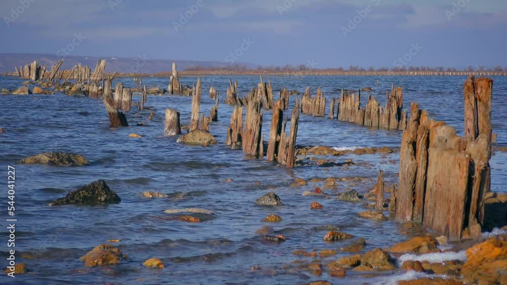 Once the modern Black Sea estuaries were freshwater, as the river flow ...