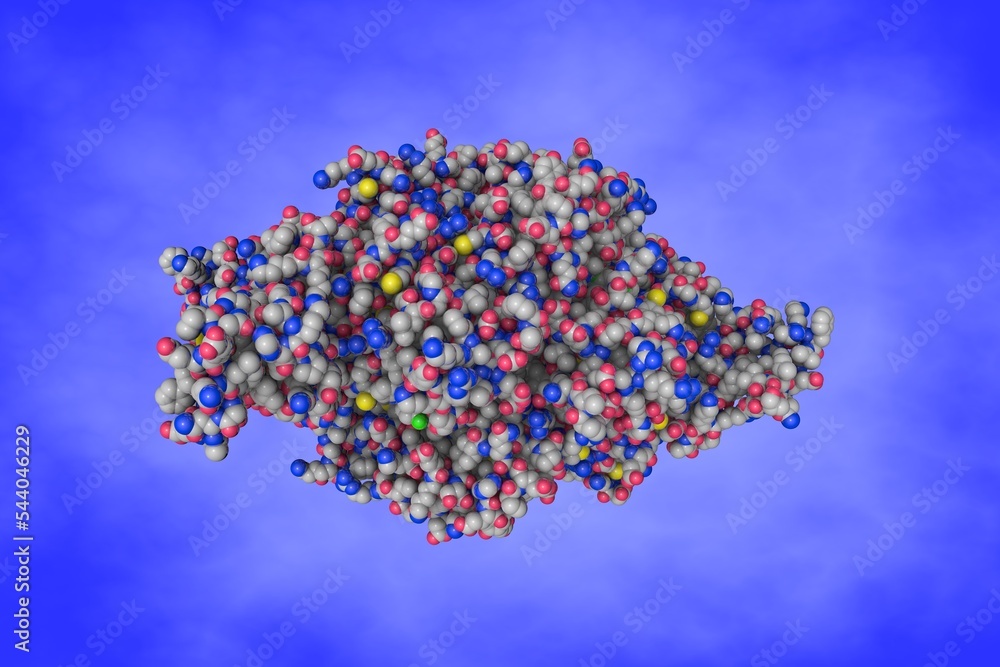 Thermodynamic and structure guided design of statin HMG-CoA reductase ...
