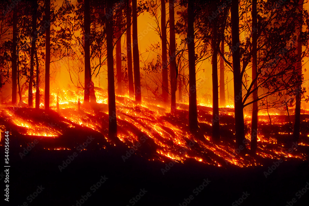 Forest fire, glow from the fire over the forests in the night. A raging ...