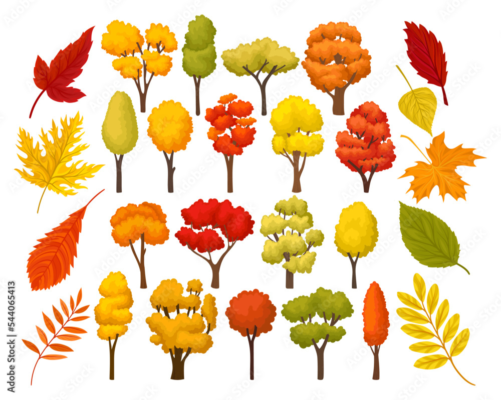 Yellow autumn trees. Colorful autumn yellow and orange park trees ...