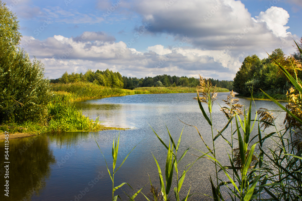 calm small river with green banks, sedge and trees with clear sky and ...