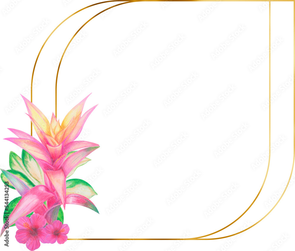 Tropical frame design with leaves and flowers, exotic floral ...