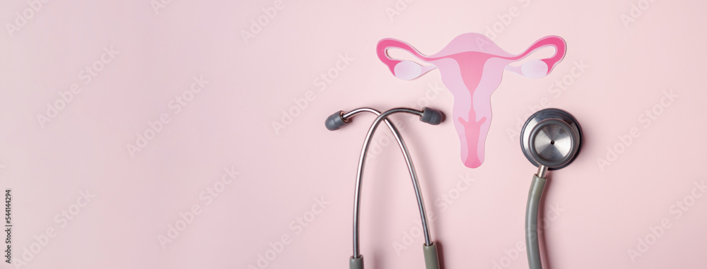 Checkup uterus, female reproductive system, women's health, PCOS, ovary ...