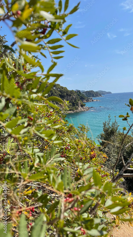 Imágenes y fotografías de paisajes de playa y costa. Stock Photo ...
