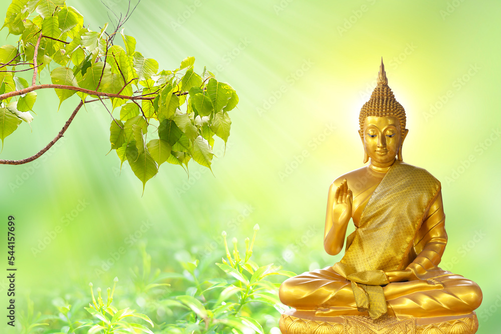 Buddha statue sitting on golden yellow background, behind bodhi leaves ...