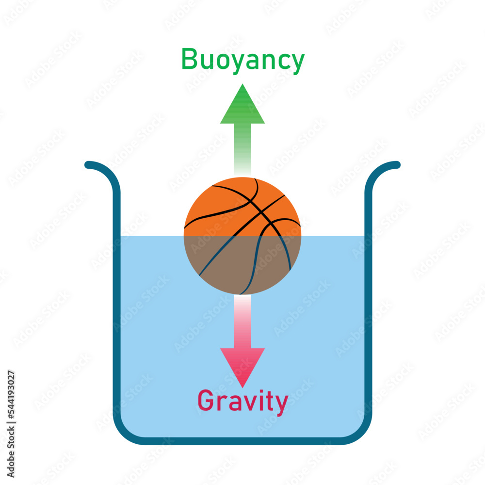 Buoyancy Experiments