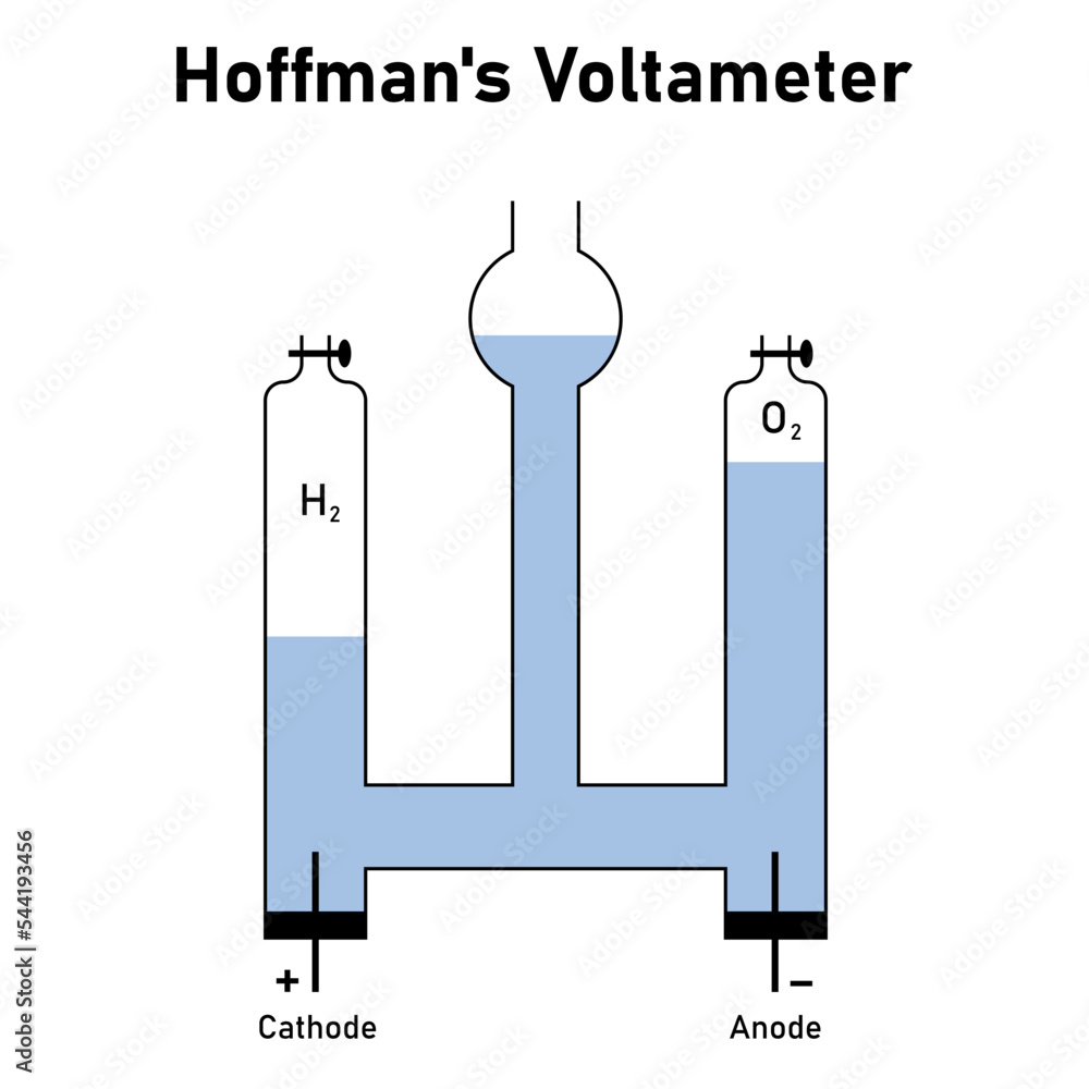 Hoffman's voltameter diagram. Electrolysis of water. Scientific vector illustration isolated on ...