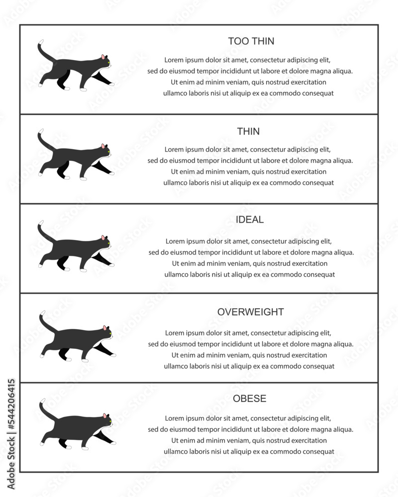 Cat weight chart infographic table. Kitties profiles with normal and ...