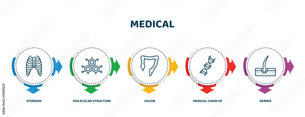 editable thin line icons with infographic template. infographic for ...