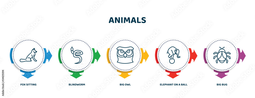 editable thin line icons with infographic template. infographic for ...