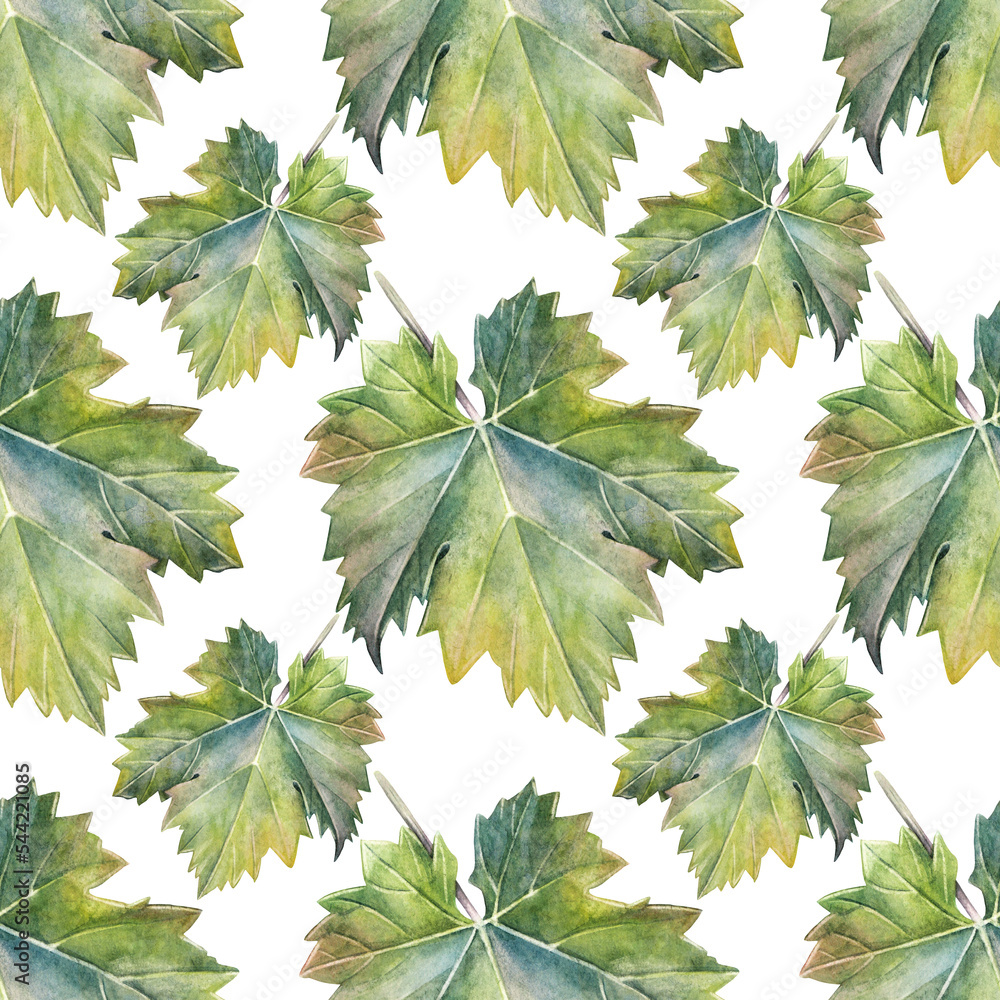 Seamless pattern watercolor grape leaves on white background. Hand ...