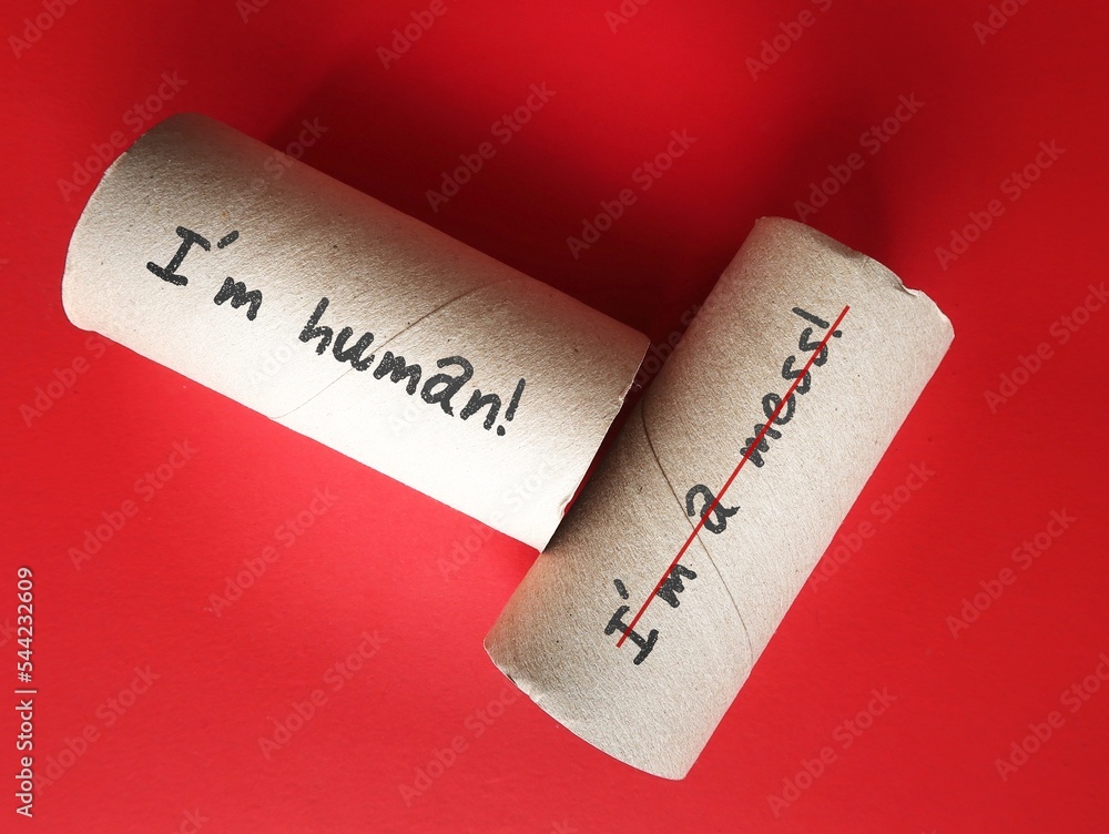 Toilet paper rolls on red background with handwriting I AM A MESS ...