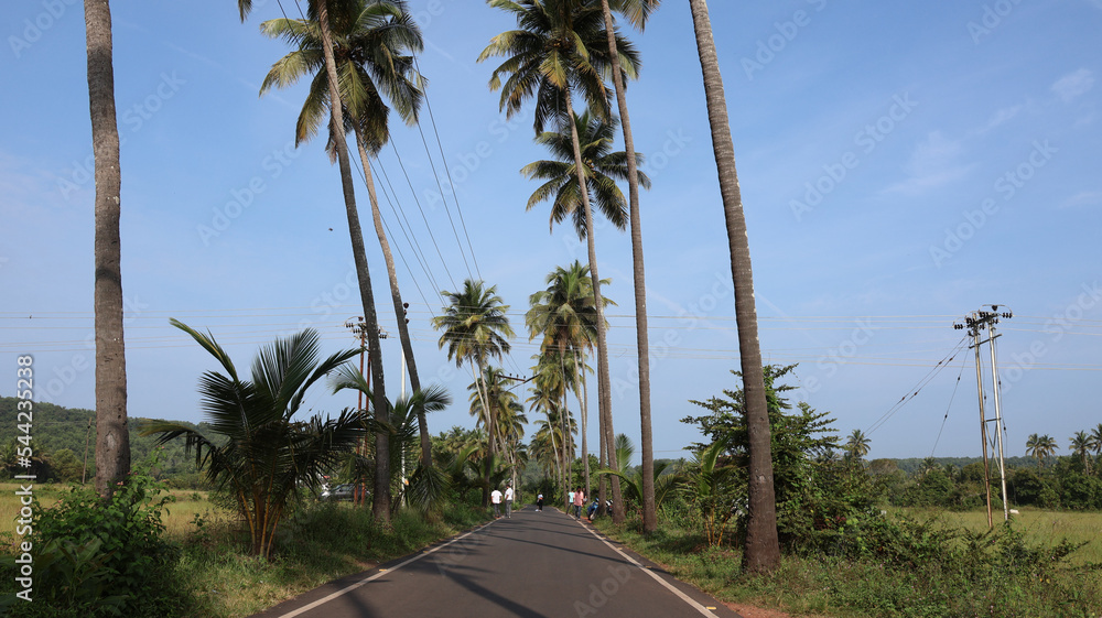 Goa, India 19th October 2022: 4k drone shots of Dear Zindagi Raod known ...