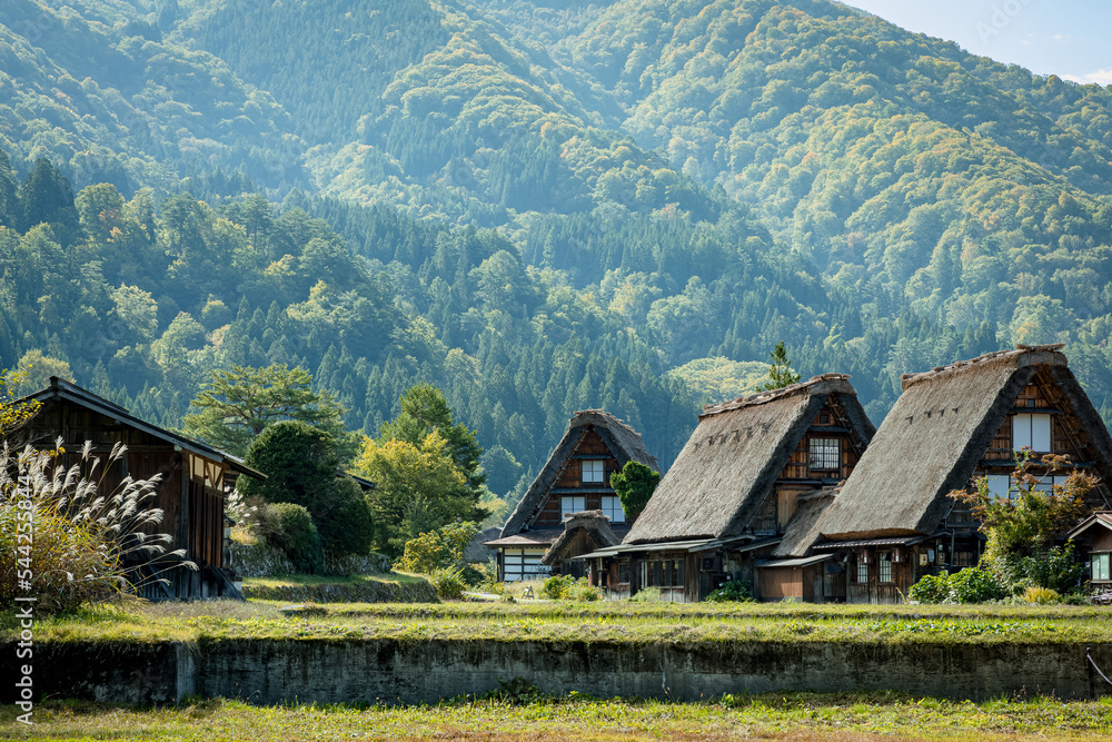 Shirakawa Historical Japanese. Shirakawago village in autumn from ...