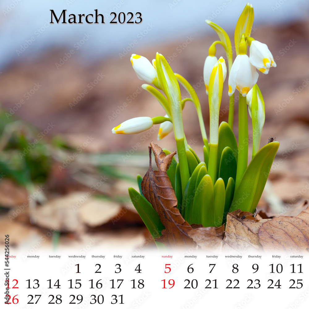 Square wall monthly calendar ready for print, March 2023. Set of ...