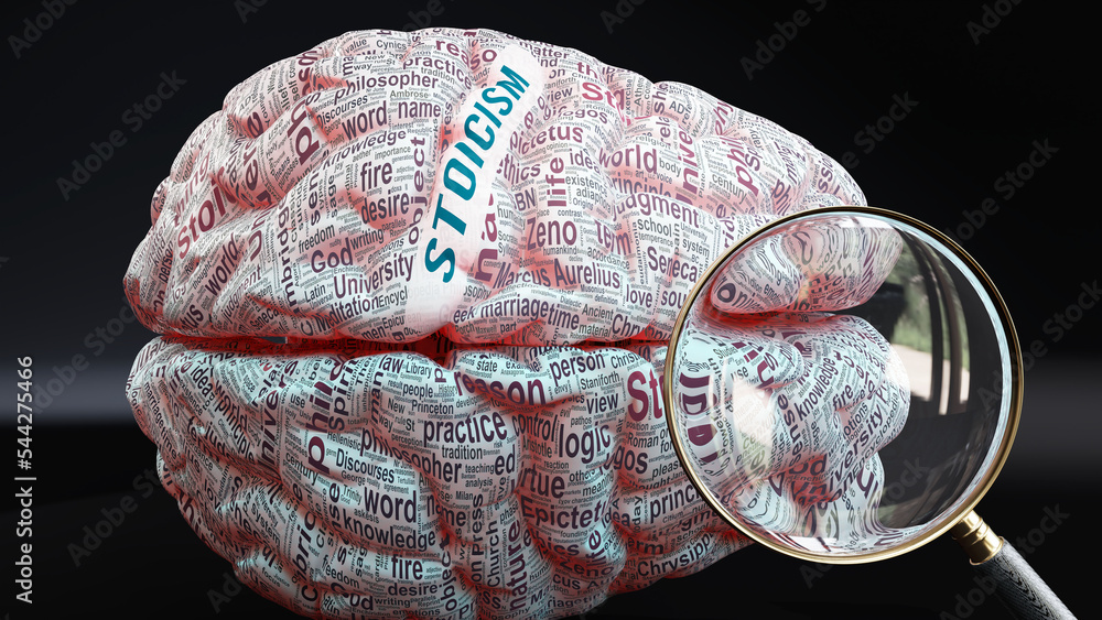 Stoicism in human brain, a concept showing hundreds of crucial words ...