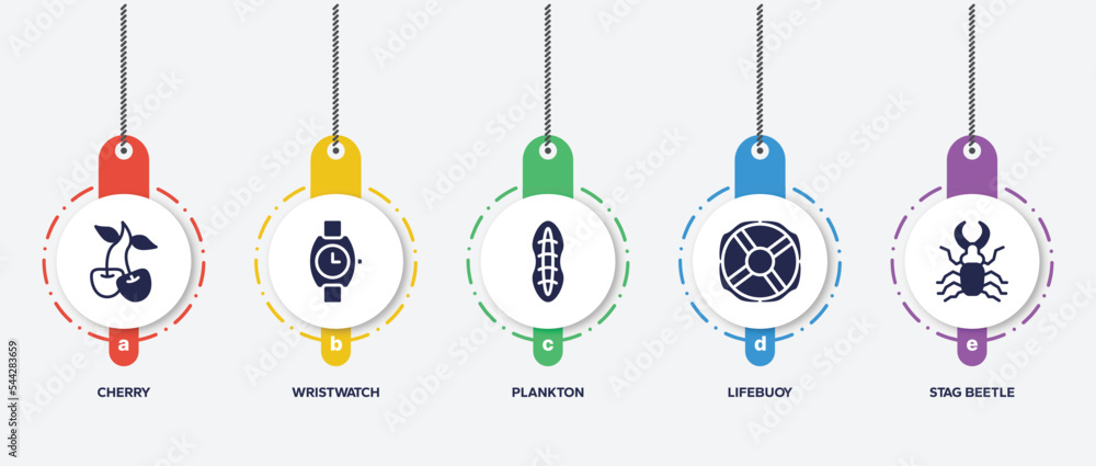 infographic element template with insects filled icons such as cherry ...