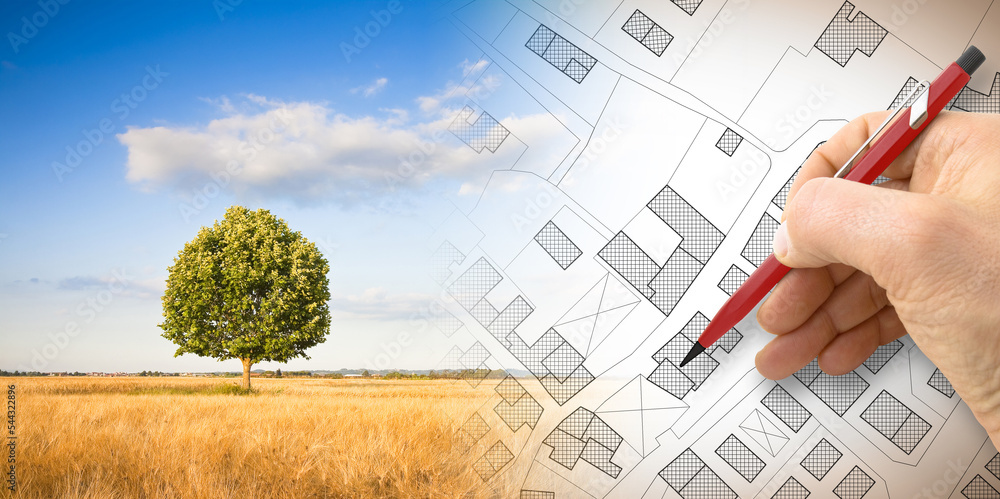 Hand drawing an imaginary cadastral map of territory with a tree on ...
