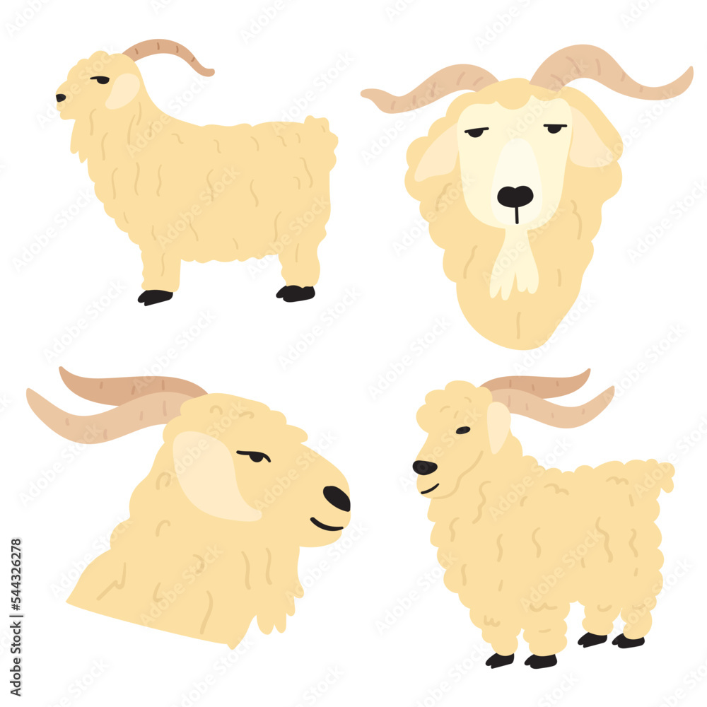 Angora goat. Collection of hand drawn flat vector illustrations. Stock ...
