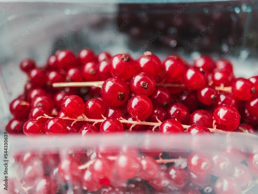 Group of red and wet currants in plastic container Stock Photo | Adobe ...
