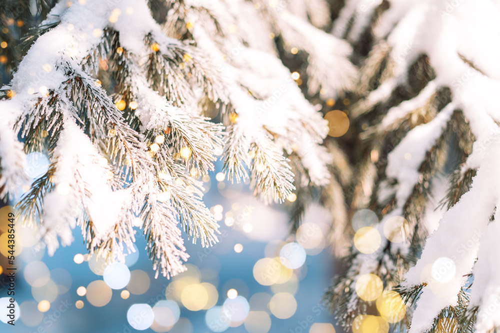 Snowy branches of Christmas trees with lights from garlands under the ...