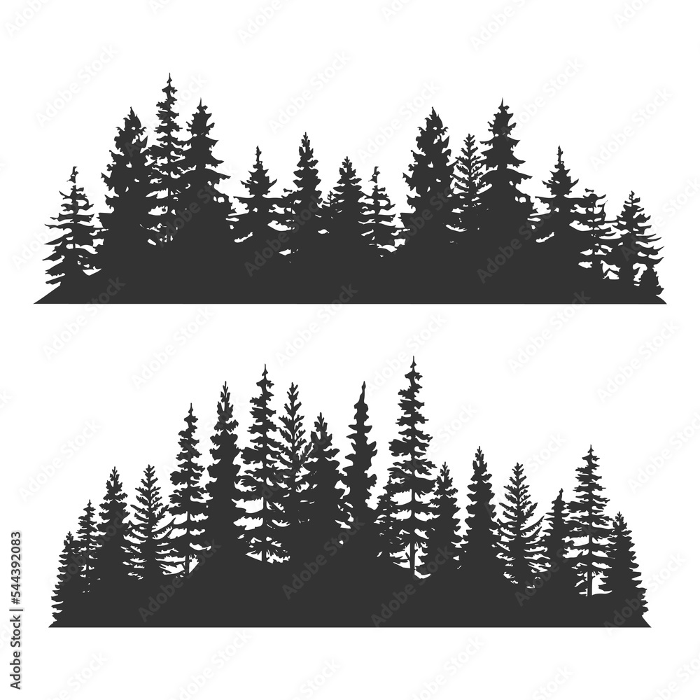 Spruce forest silhouette. Spruce wood silhouette. Spruce tree ...