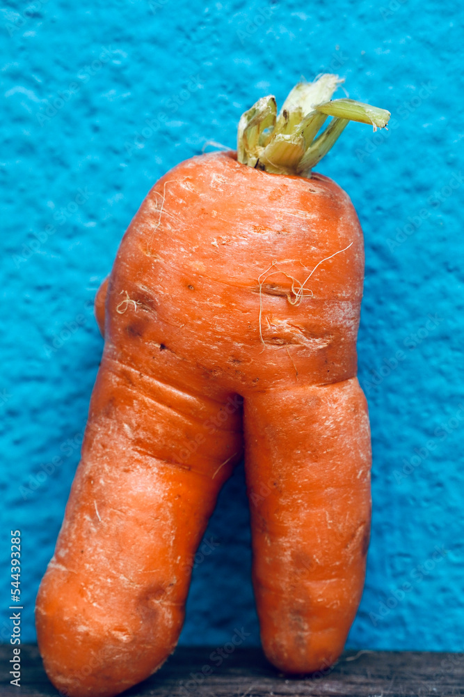 Ugly carrot root vegetable grown like human body part isolated against ...
