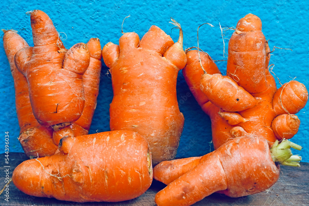 Ugly carrots isolated on blue color wall background. Healthy carrots ...