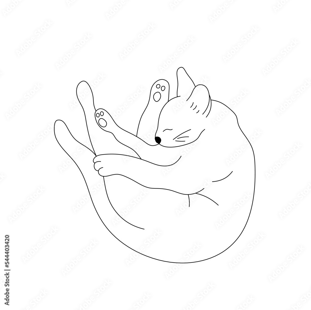 Vector isolated one cute sleeping curled up cat in funny pose colorless ...