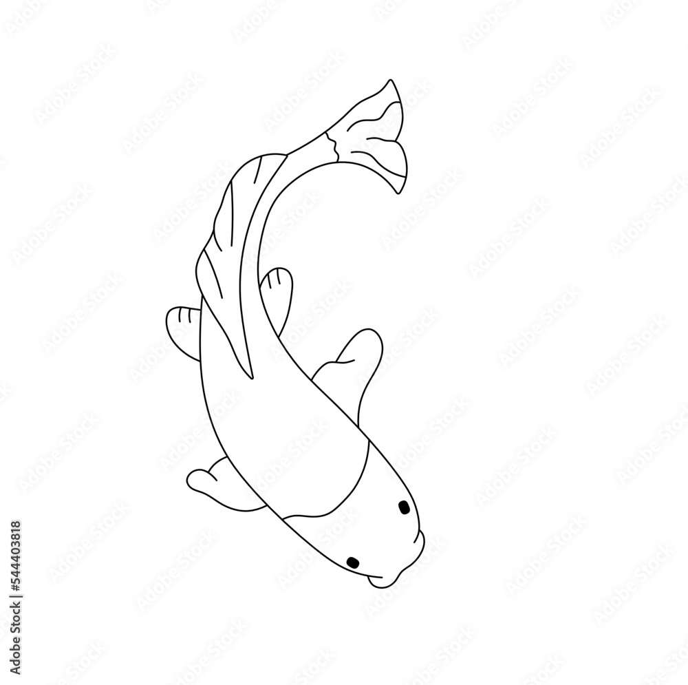 Vector isolated one floating koi carp top view colorless black and ...