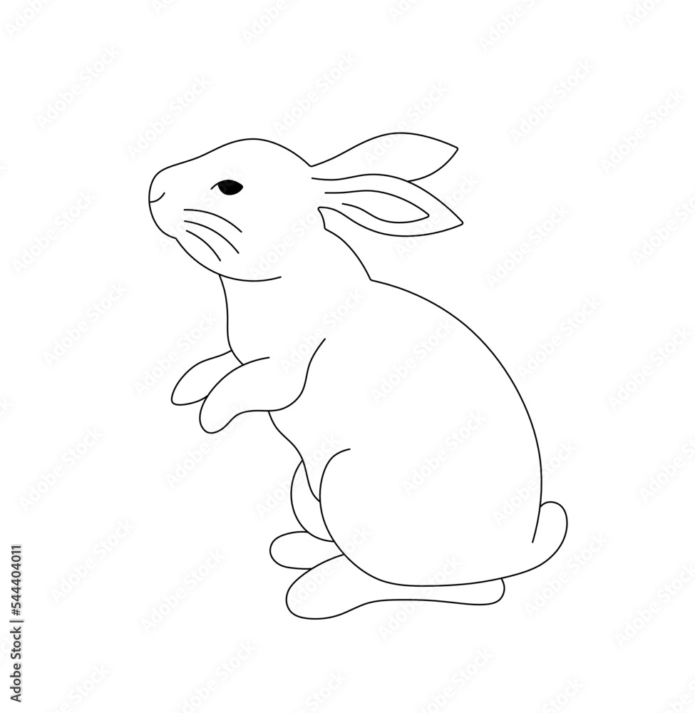 Standing Rabbit Outline