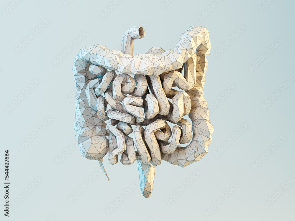 3d illustration of abstract low poly human internal organ - intestine ...