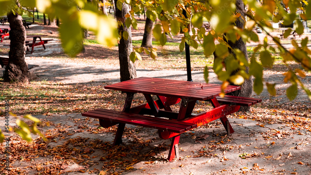 Seating areas in the park, unmanned, calmness and serenity, leaves with ...