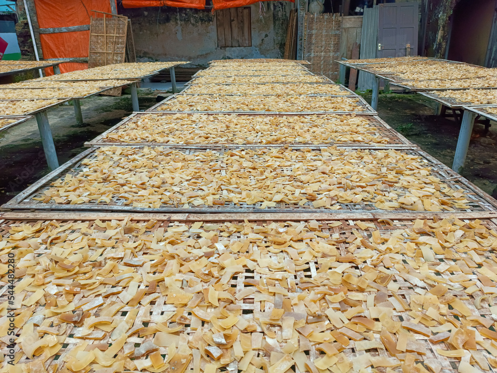 Drying process of skin chips. Stock Photo | Adobe Stock