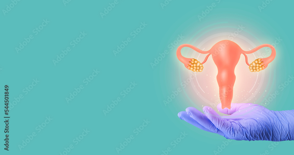 Female reproductive health concept. endometriosis, PCOS, gynecological ...