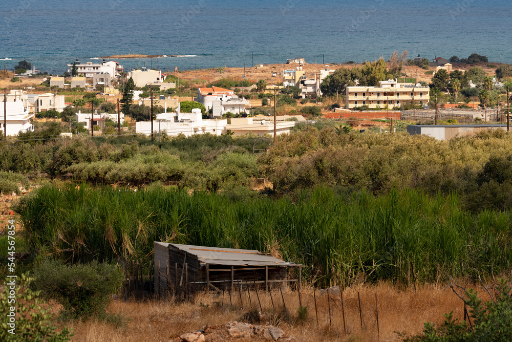 Mali, Crete, Greece. 2022. Rural farming bananas and olives on a small ...