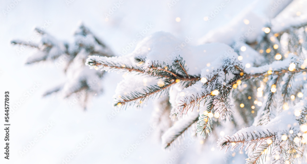 Outside christmas tree branch with snow caps in front of lights from ...