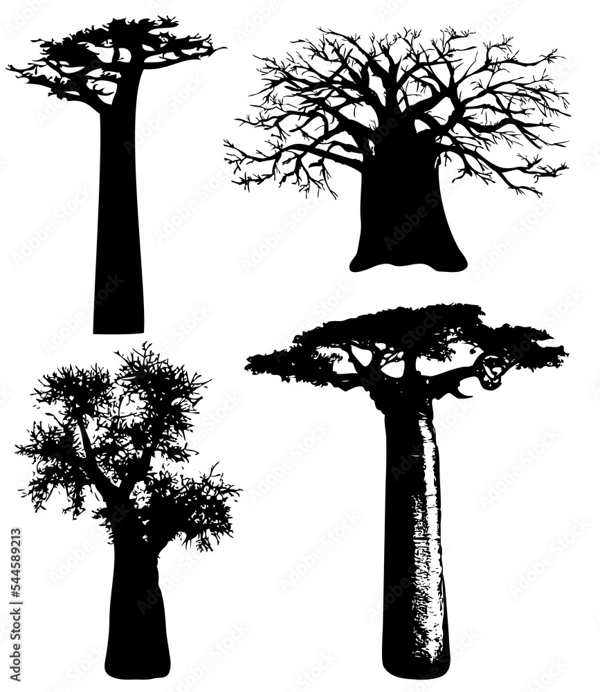 Various African trees and bushes on transparent background Stock ...