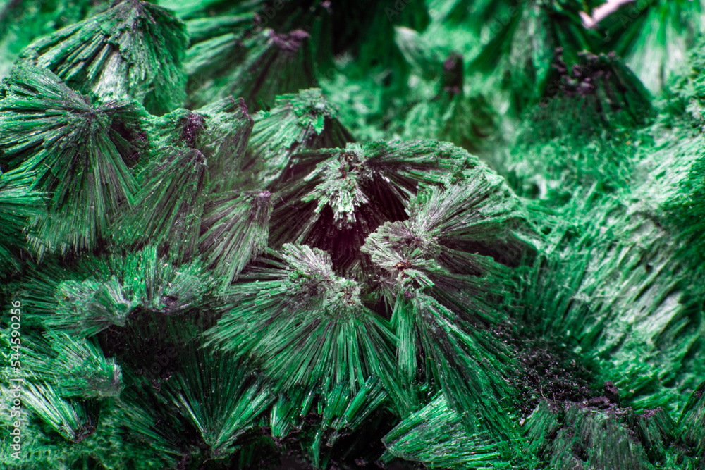 Vibrant Green Copper Mineral Malachite In Velvet Form Highly Structured