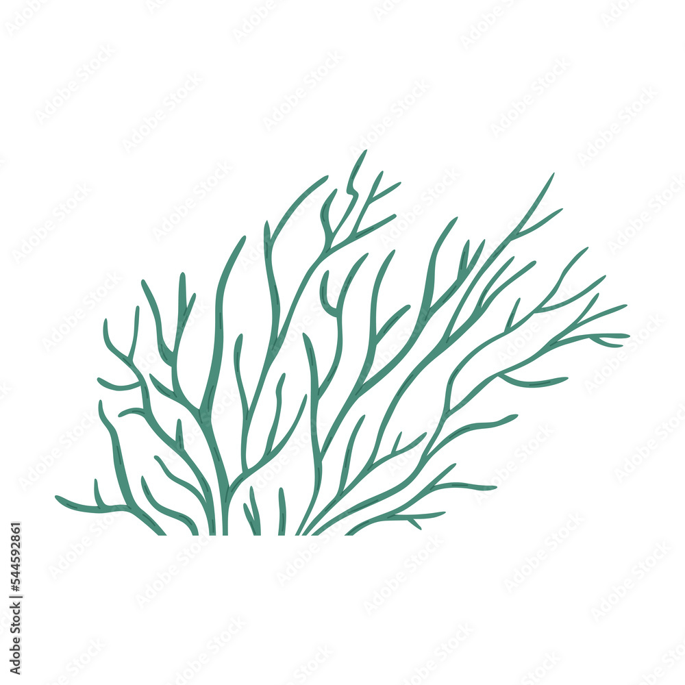Hand drawn seaweed or coral reef element, cartoon flat vector ...