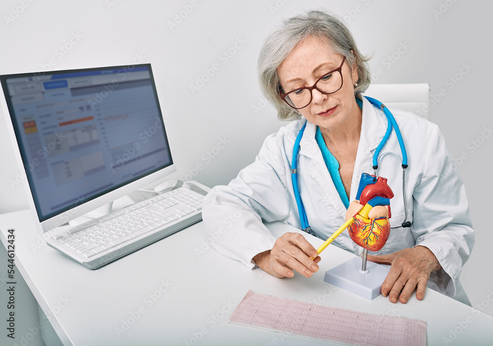 Female cardiologist showing anatomical model of human heart during ...
