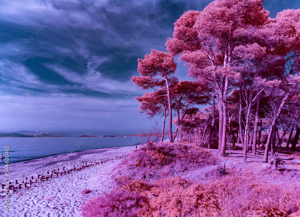 Infrared photography with inversion of the red and blue color channels ...