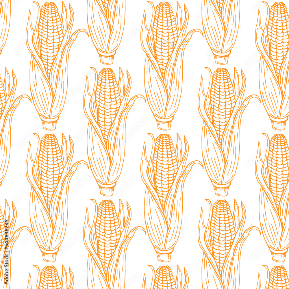 Corn, maize pattern. Hand drawn corn design. Color background. Vector ...