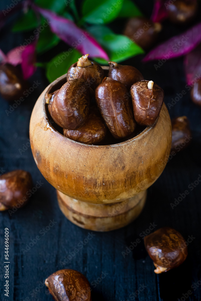 Artocarpus altilis, exotic fruit rich in carbohydrates and fiber ...